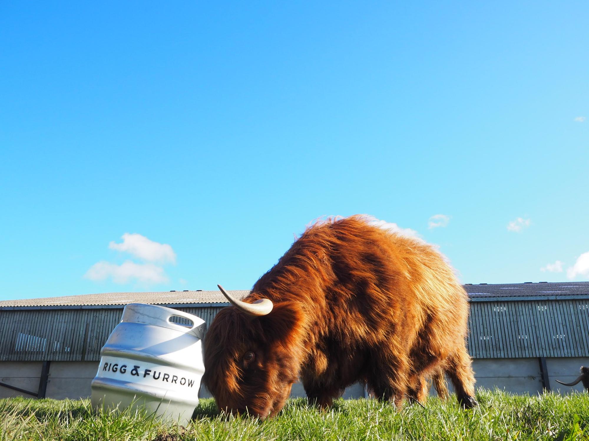 Bank holiday beer festival to take place at farmhouse brewery Rig and ...