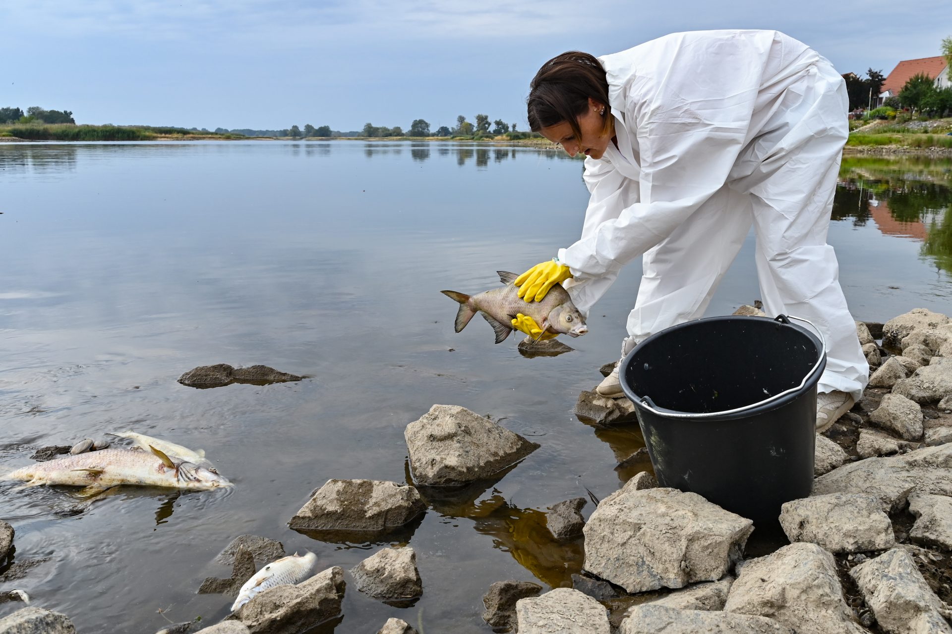Fallece el famoso youtuber Andrew Cross a los 36 tras trágico accidente ...