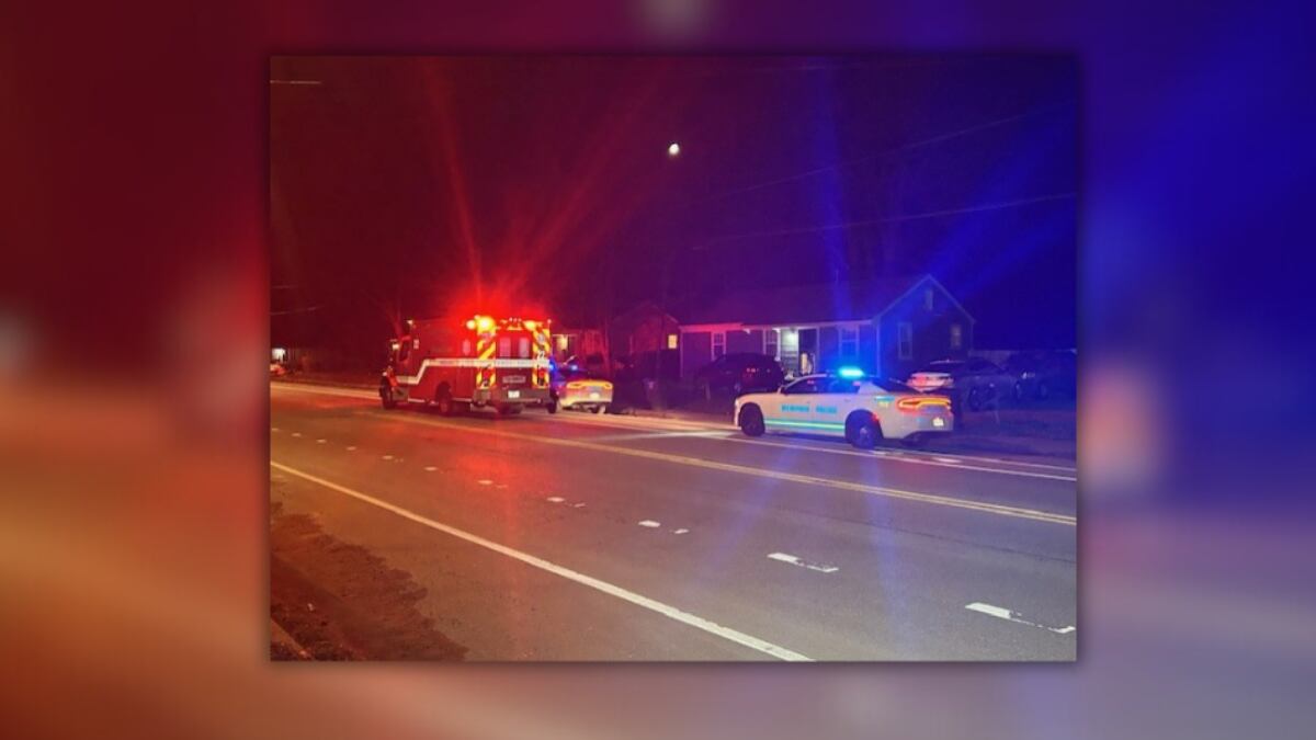 Man accidentally grazed by bullet after dog gets paw stuck in gun ...