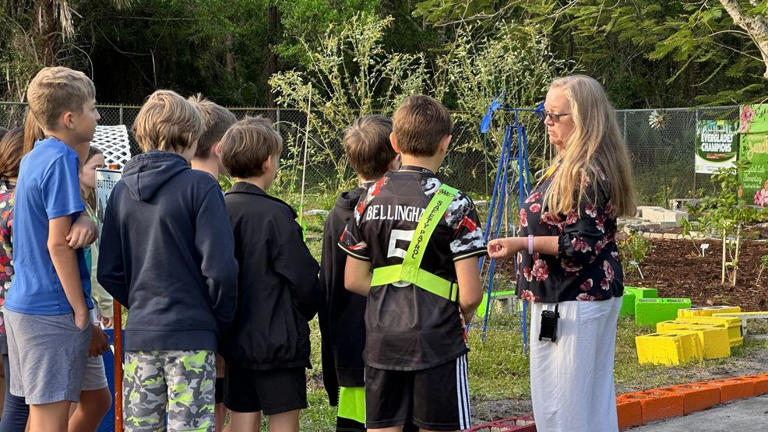 Teacher Feature: STEM-tacular teacher takes learning outside the box in ...