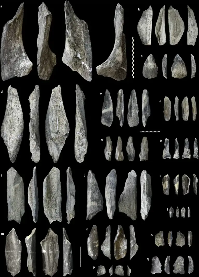 These bone tools from 1.5 million years ago rewrite the history of ...