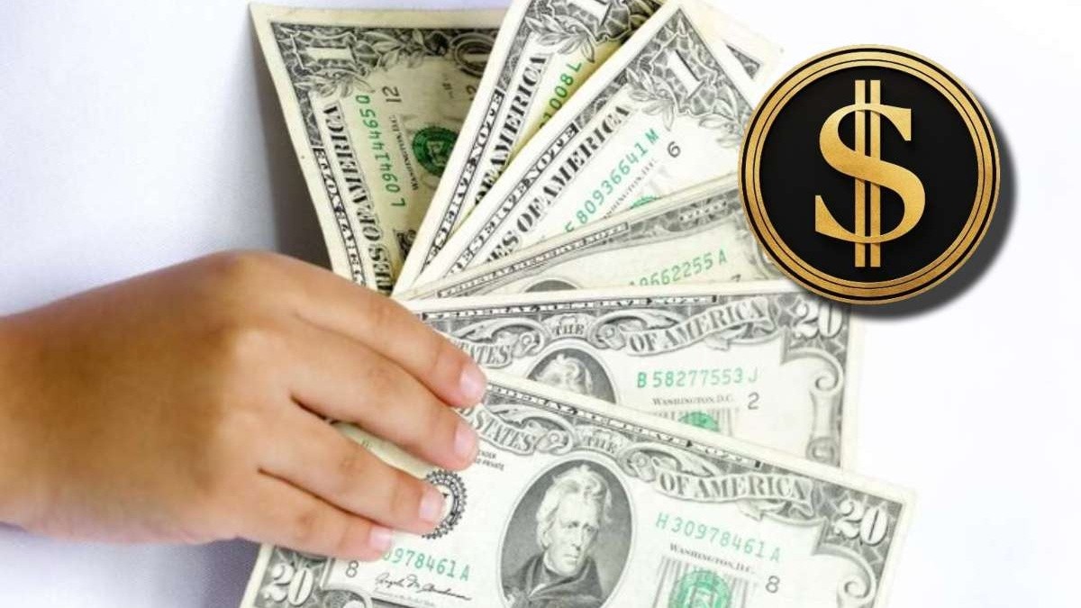 Update: How DOGE's figures for the $5,000 stimulus check are going