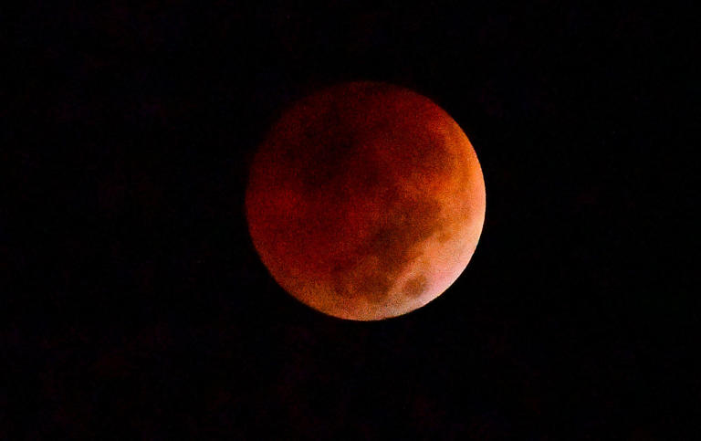 Blood-red moon visible from Florida early Friday. Here's how to see the ...