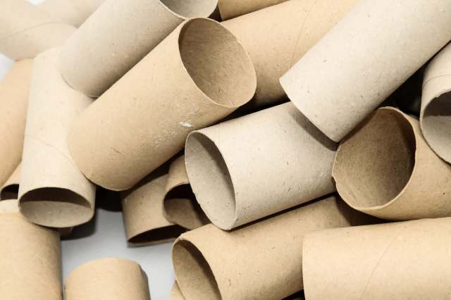 Woman shares creative way to use old toilet paper rolls to help animals ...