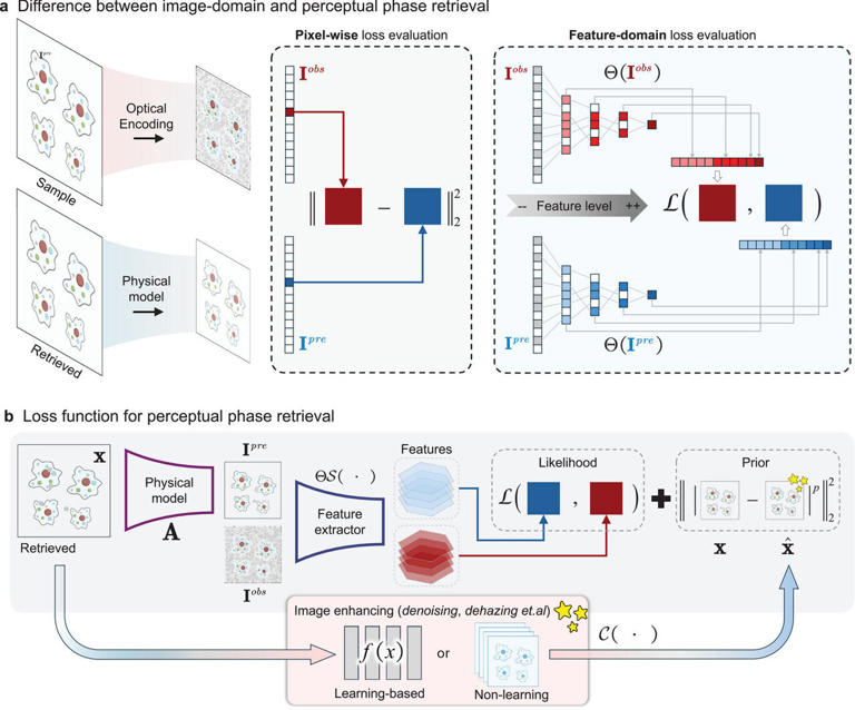Novel high-fidelity computational microscopy uses stable features for clearer imaging