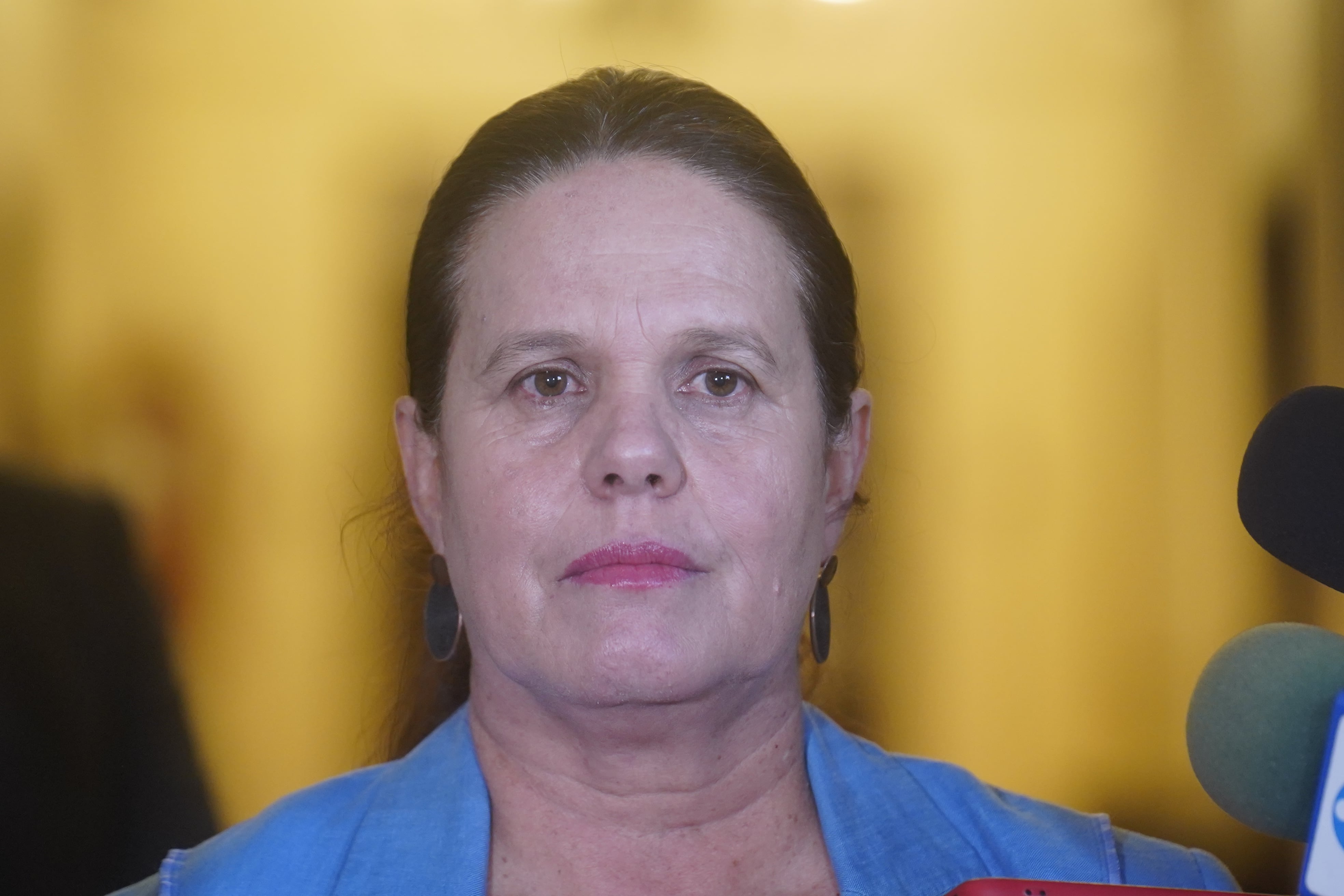 Maya Fernández deja el Ministerio de Defensa tras polémica por fallida ...