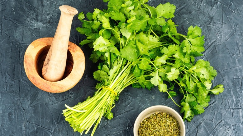 Is There Any Hope For People Who Taste Soap In Cilantro?