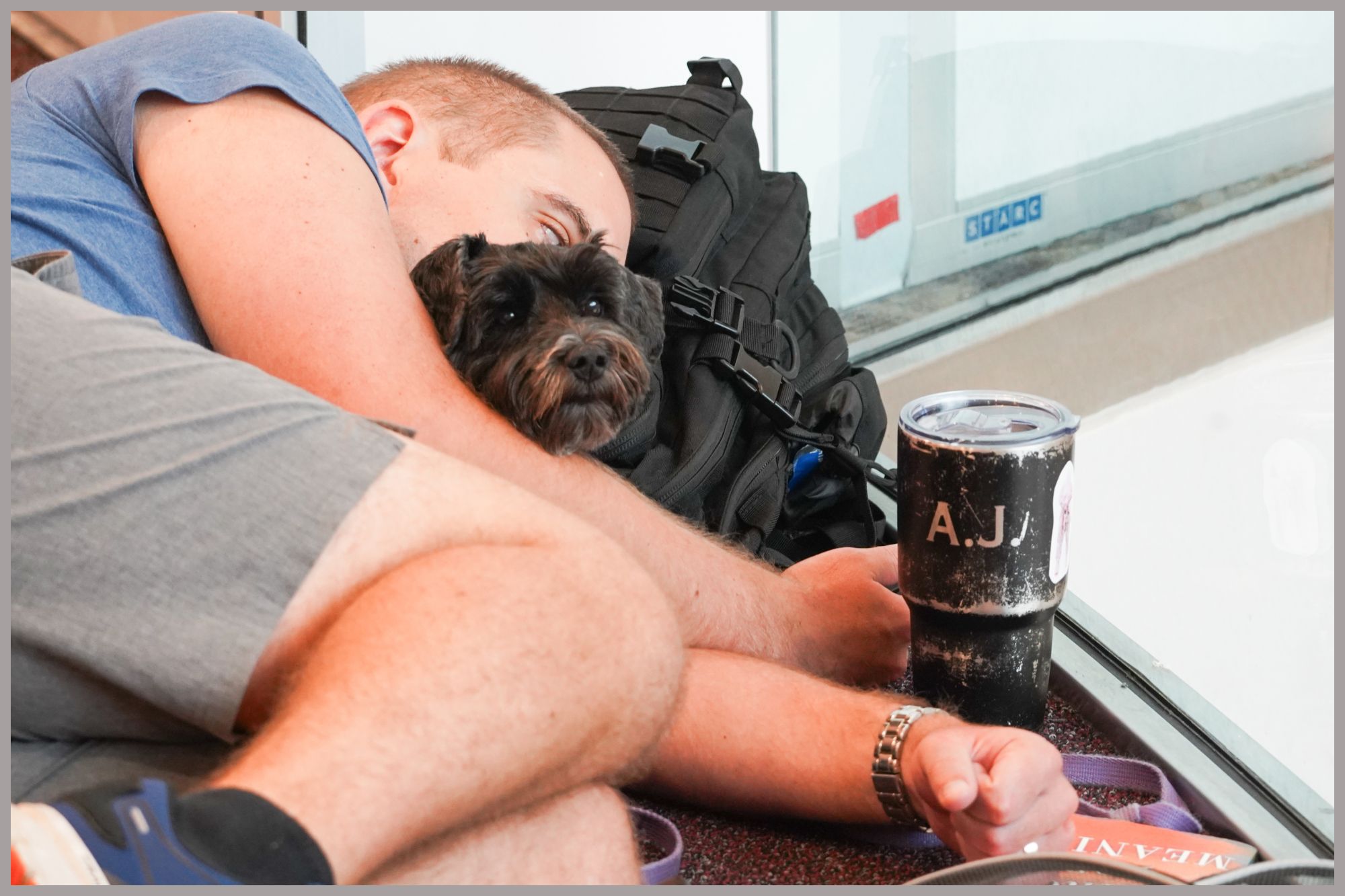 Dog Shot His Owner After Paw Got Stuck in the Trigger but the Internet ...