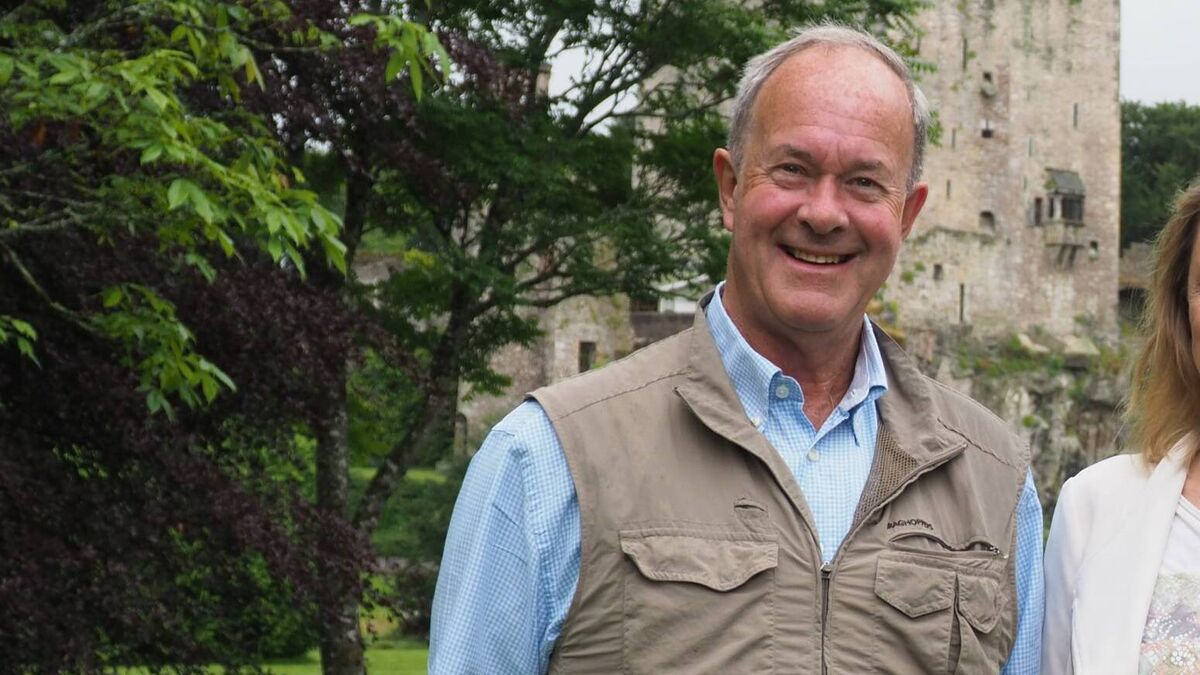 Blarney Castle owner to challenge drink and dangerous driving convictions