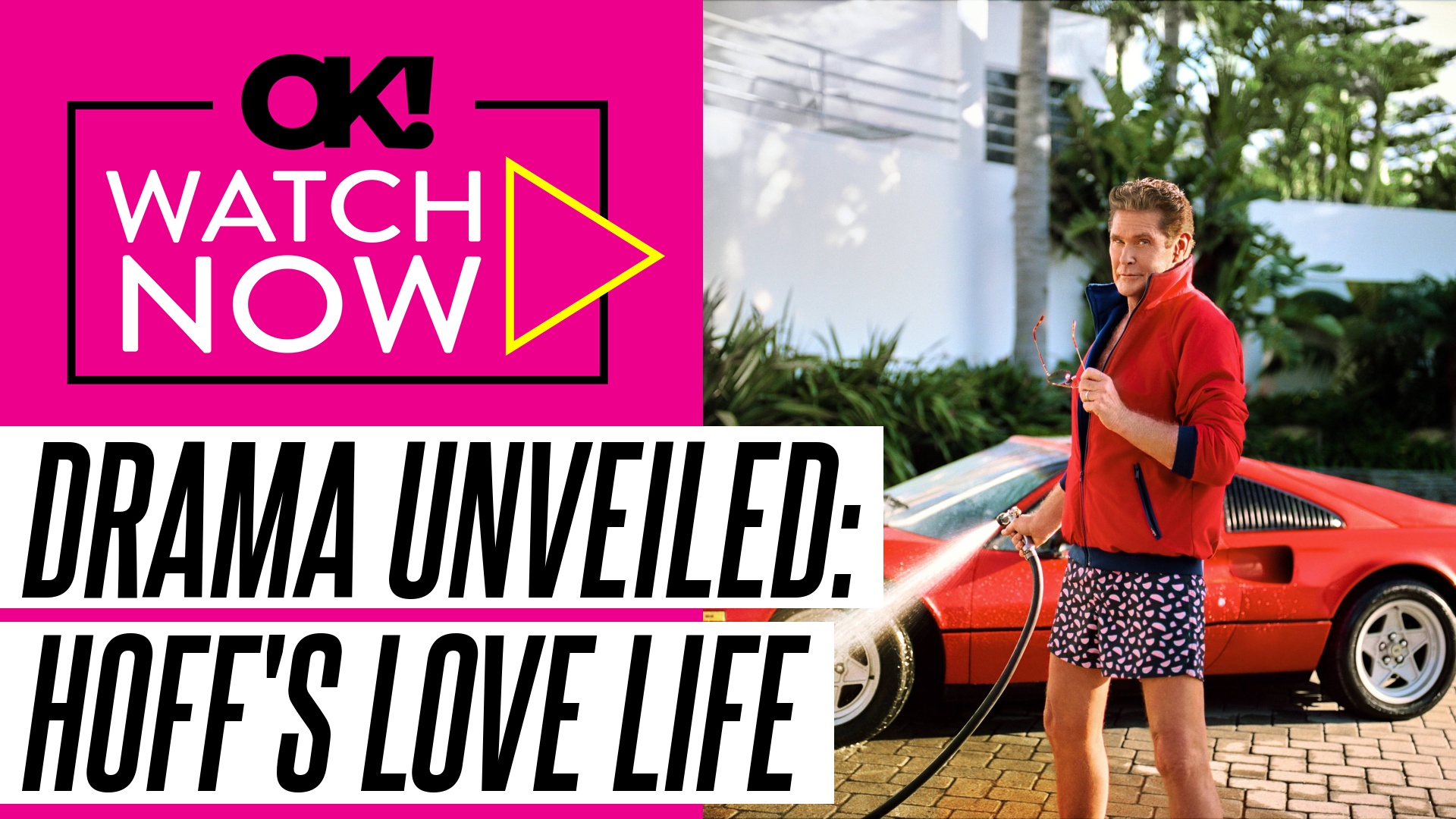 Inside David Hasselhoff and Pamela Bach's Relationship Timeline