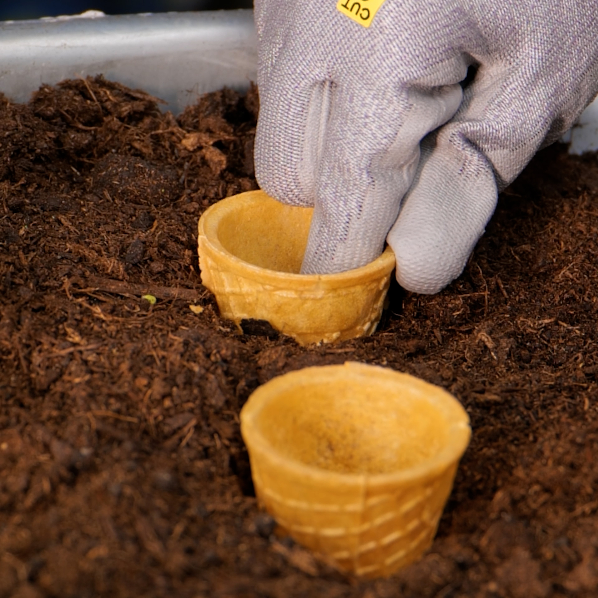 Mini Farm in a WHEELBARROW?
