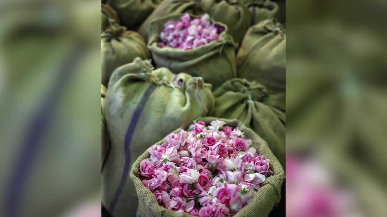 Weird Details You Didn't Know About Cleopatra