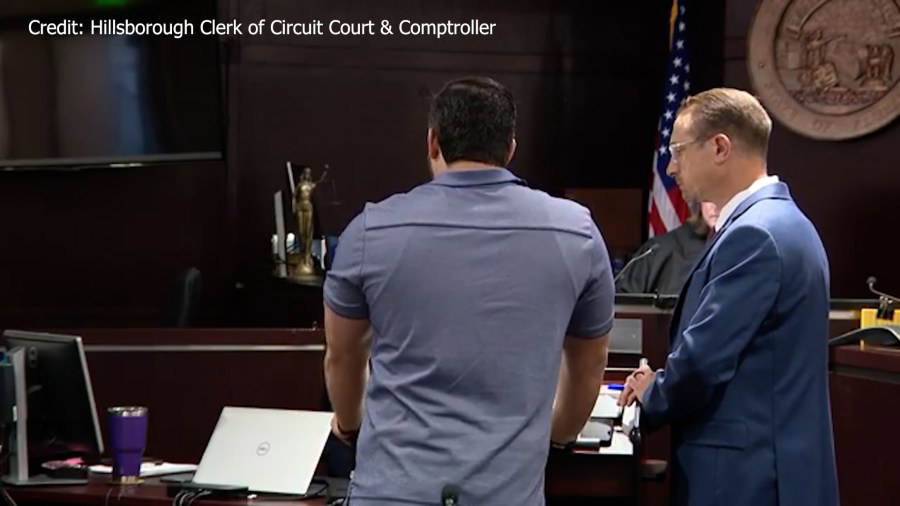 Man pleads guilty to stealing Hillsborough County homes with his wife Man pleads guilty to stealing Hillsborough County homes with his wife