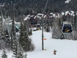 Gondola full of passengers falls to the ground at Kicking Horse resort