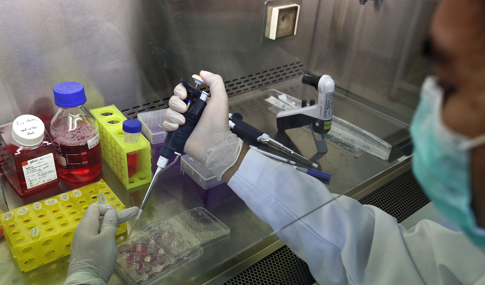 Provinces owe National Health Laboratory Service R8.9bn amid labs ...