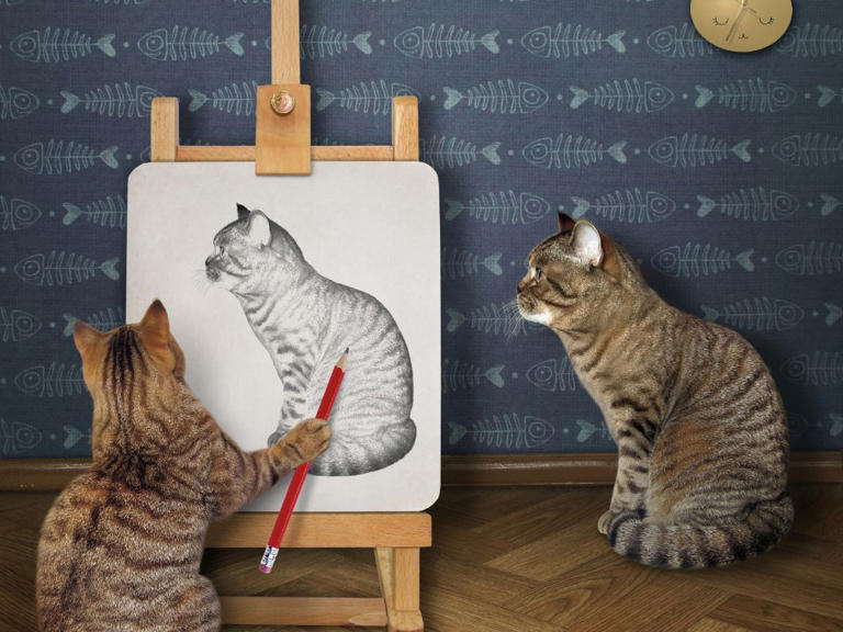 Museu dedicado aos gatos será inaugurado em março no Brasil; saiba mais