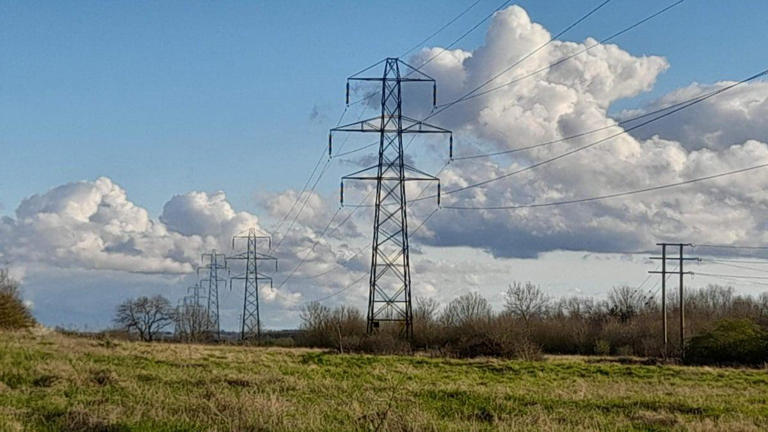 ‘Lincolnshire not up for sale’ says pylons protestors