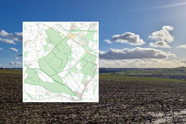 New forest made up of 600,000 trees to be created in County Durham