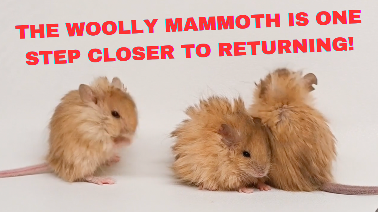 From Extinction to Evolution: Scientists Take Bold Step Toward ...