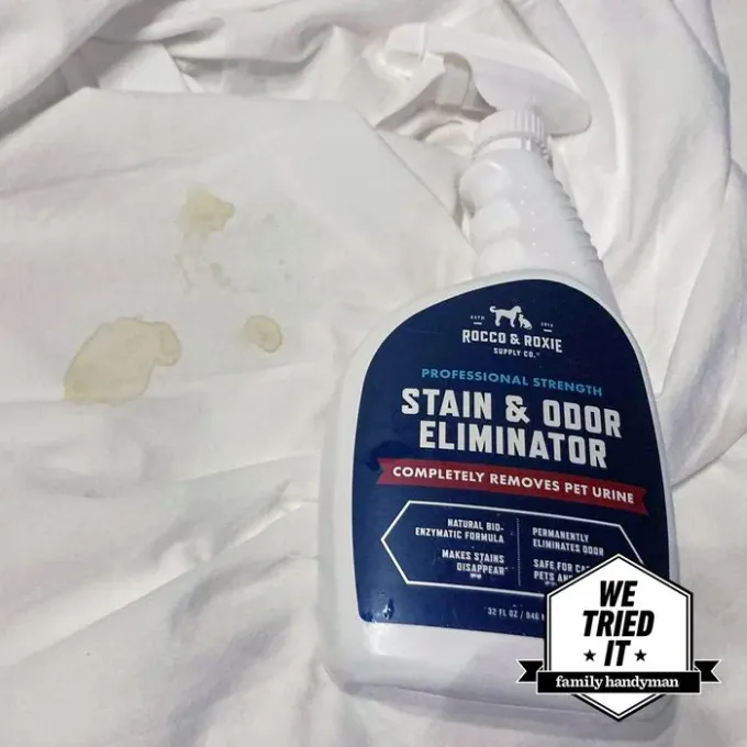 The Best Pet-Safe Cleaning Products to Use Throughout Your Home