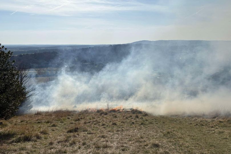 Photos as firefighters tackle fire at Surrey National Trust beauty spot ...