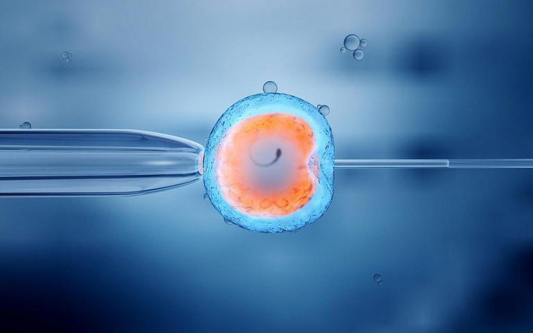 District Court rules to keep IVF child with birth mother following ...