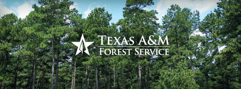 Texas A&M Forest Service giving away trees Wednesday, Thursday for ...