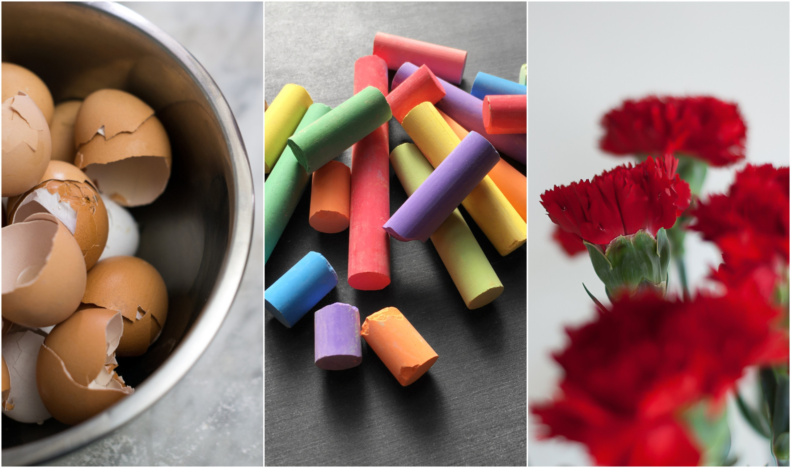 Ces choses sont techniquement comestibles...