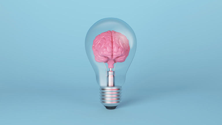 ¿Cómo sabe el cerebro cuándo darse por vencido? Esto dice un estudio ...