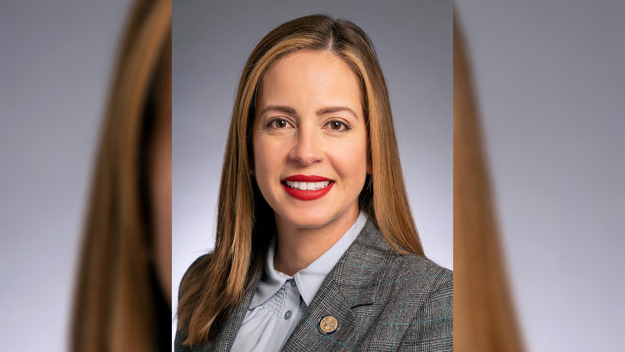 Former MN Sen. Melissa Franzen is running for US Senate