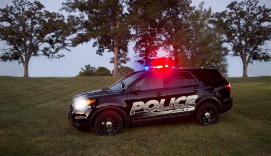 Dog helps identify Decatur burglary suspect by staying calm, doing ...