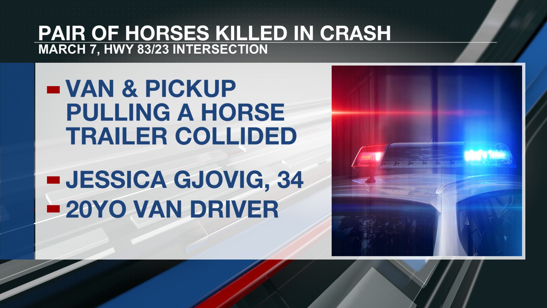 UPDATE: Community supporting horse owner after pair of animals killed ...