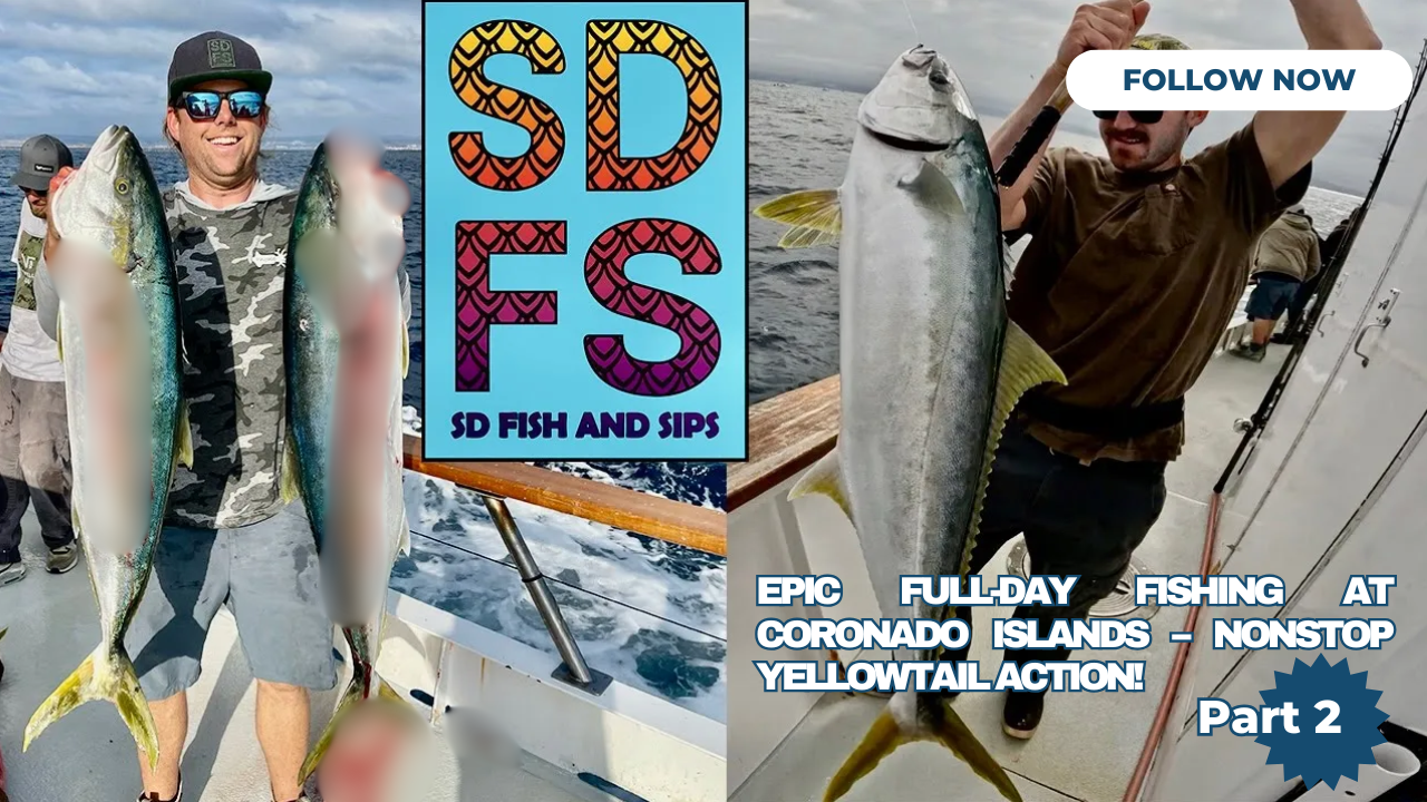 Epic Full-Day Fishing at Coronado Islands – Nonstop Yellowtail Action ...