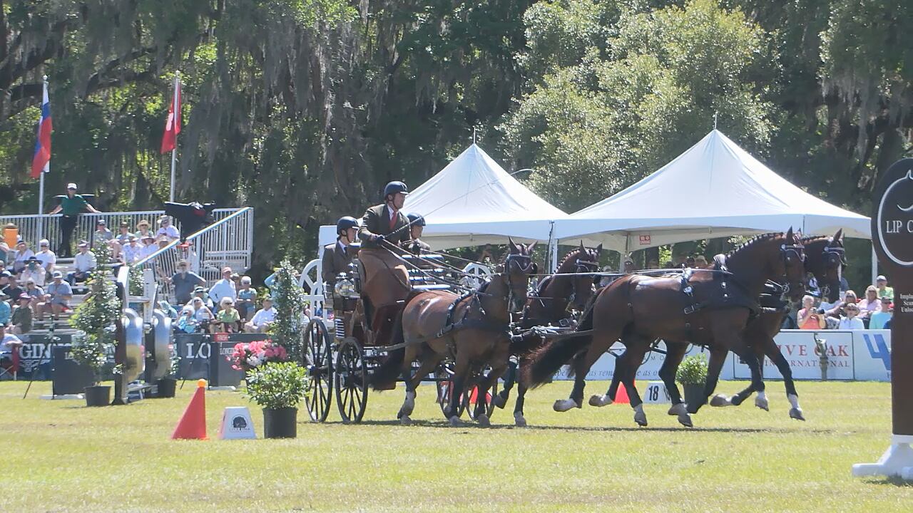 Live Oak International kicks off this week
