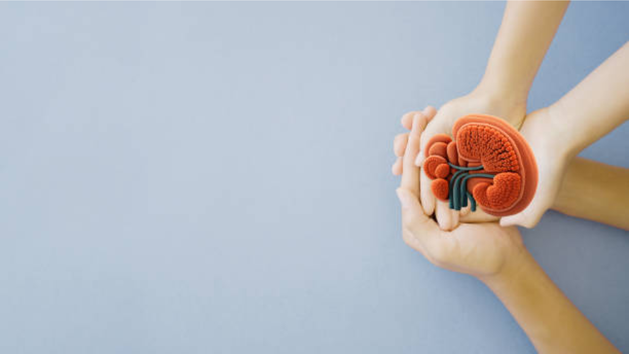 Understanding Chronic Kidney Disease (CKD): A guide to prevention and ...