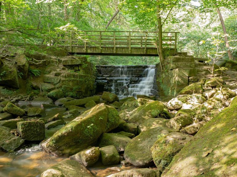 The 16 best walks to enjoy Leeds as spring comes into season including ...