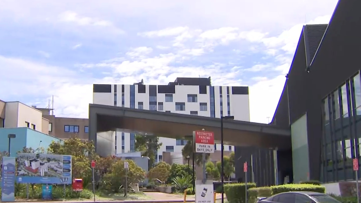 Australia News - MSN