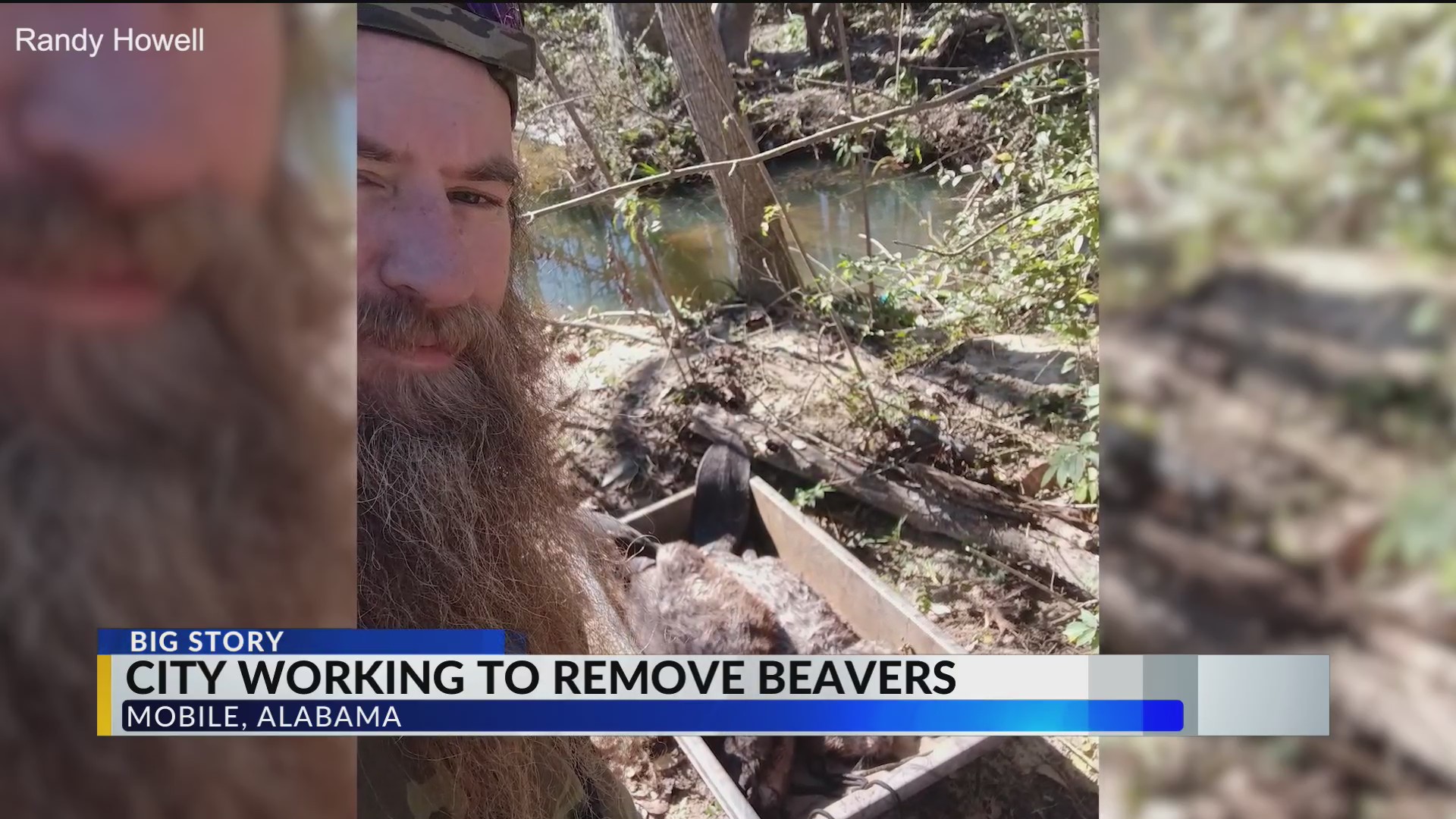Mobile City Council to vote on beaver removal contract