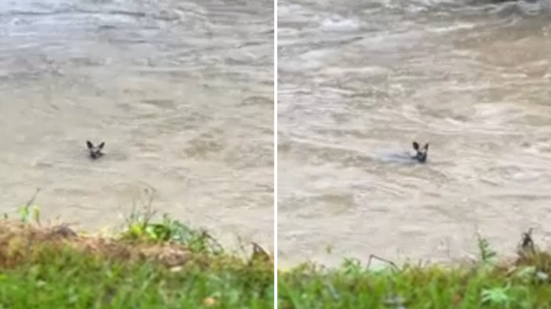 When does Daylight Saving end? Your questions answered