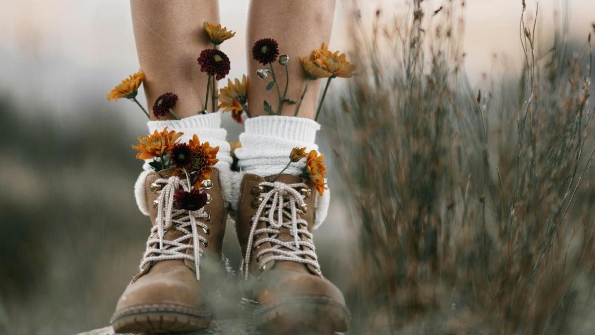 Feng Shui: Why you should slip a bay leaf in your shoe