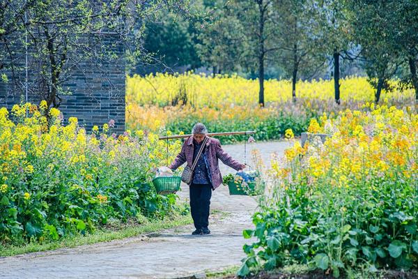 How Climate Change is Altering Rainfall Patterns Across the United States
