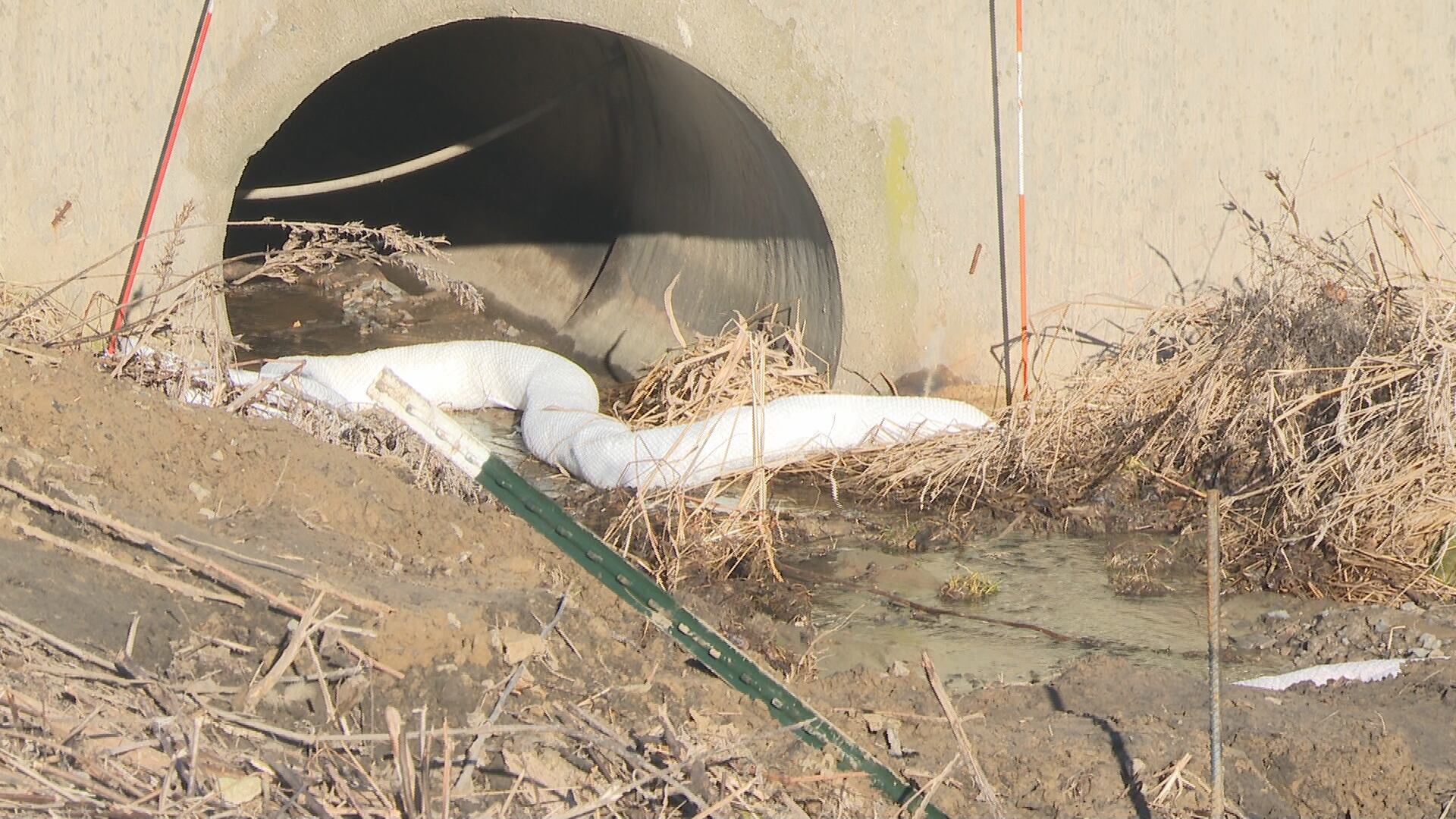 Environmental cleanup crews working to clean Whitehouse oil spill