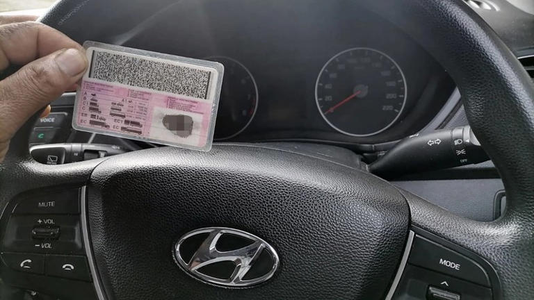 Democratic Alliance urges Gauteng Transport Department to address ...