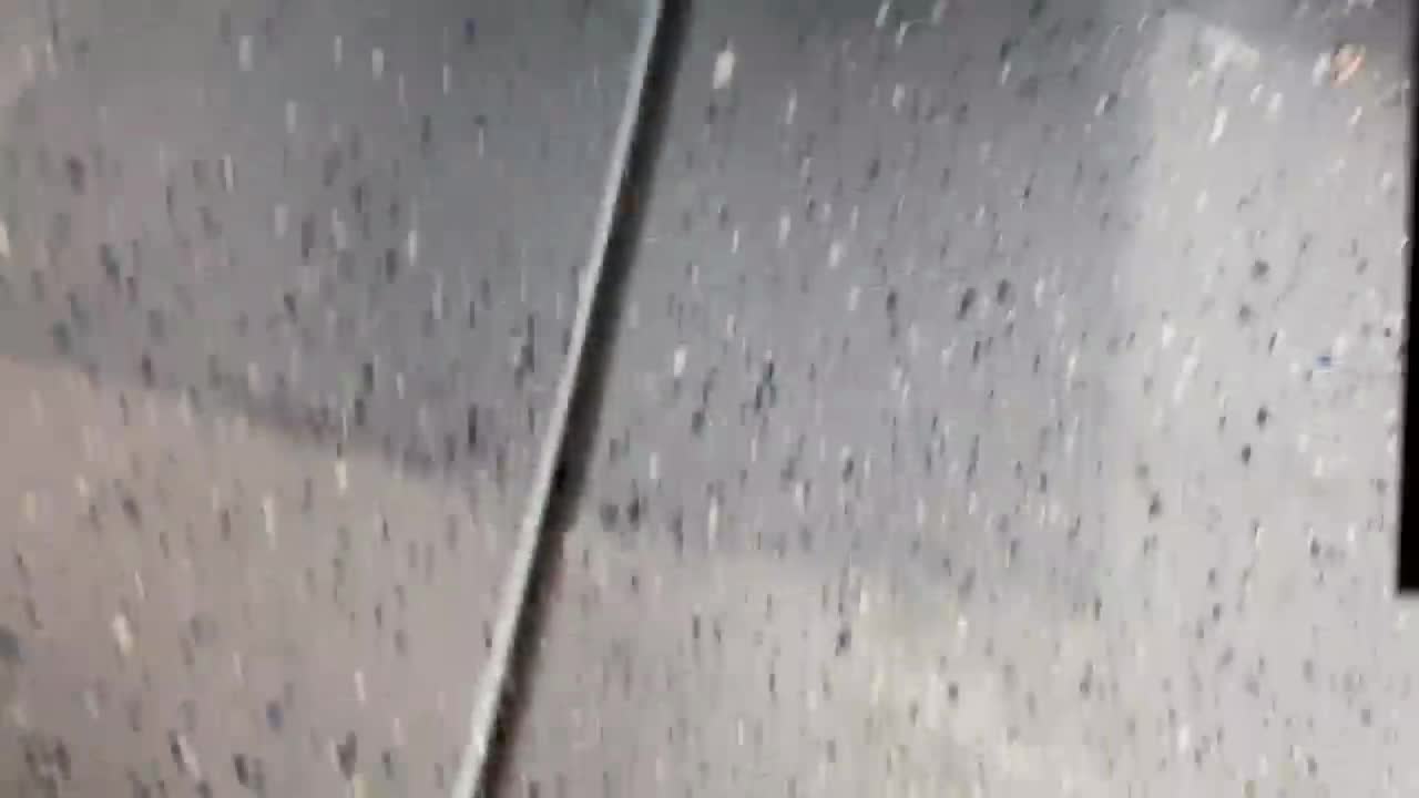 One Week Old Kitten Update