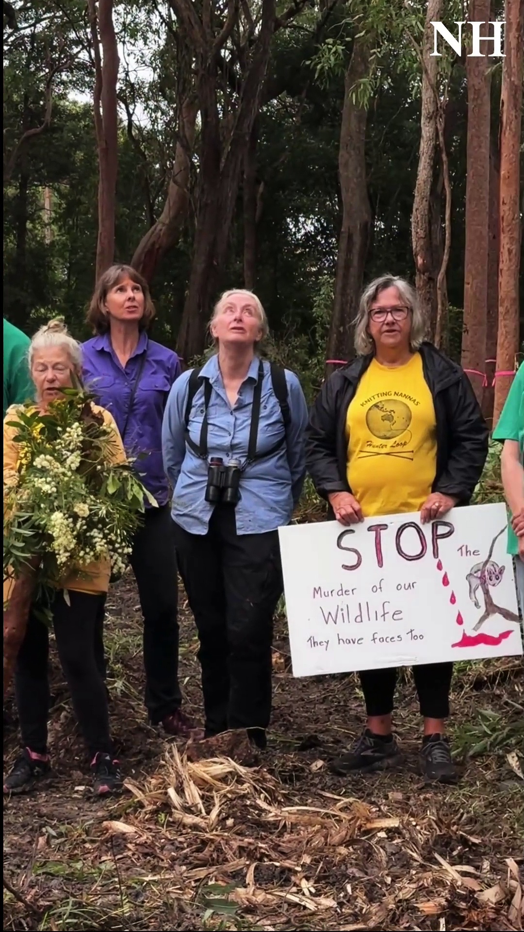 Myall Road bushland cleared