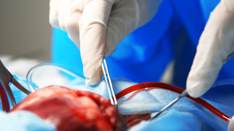 “You’ve Got A Pig’s Heart!” Genetically Modified Pigs with Human-like ...