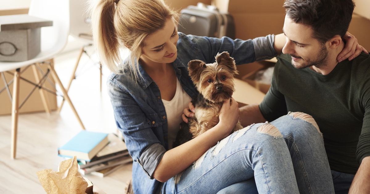 Pets in Small Homes: 18 Fantastic Dog Breeds for Apartments and Townhouses