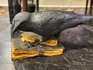 'It's a big deal': Jacobus flower shop owner wins top honor at ...