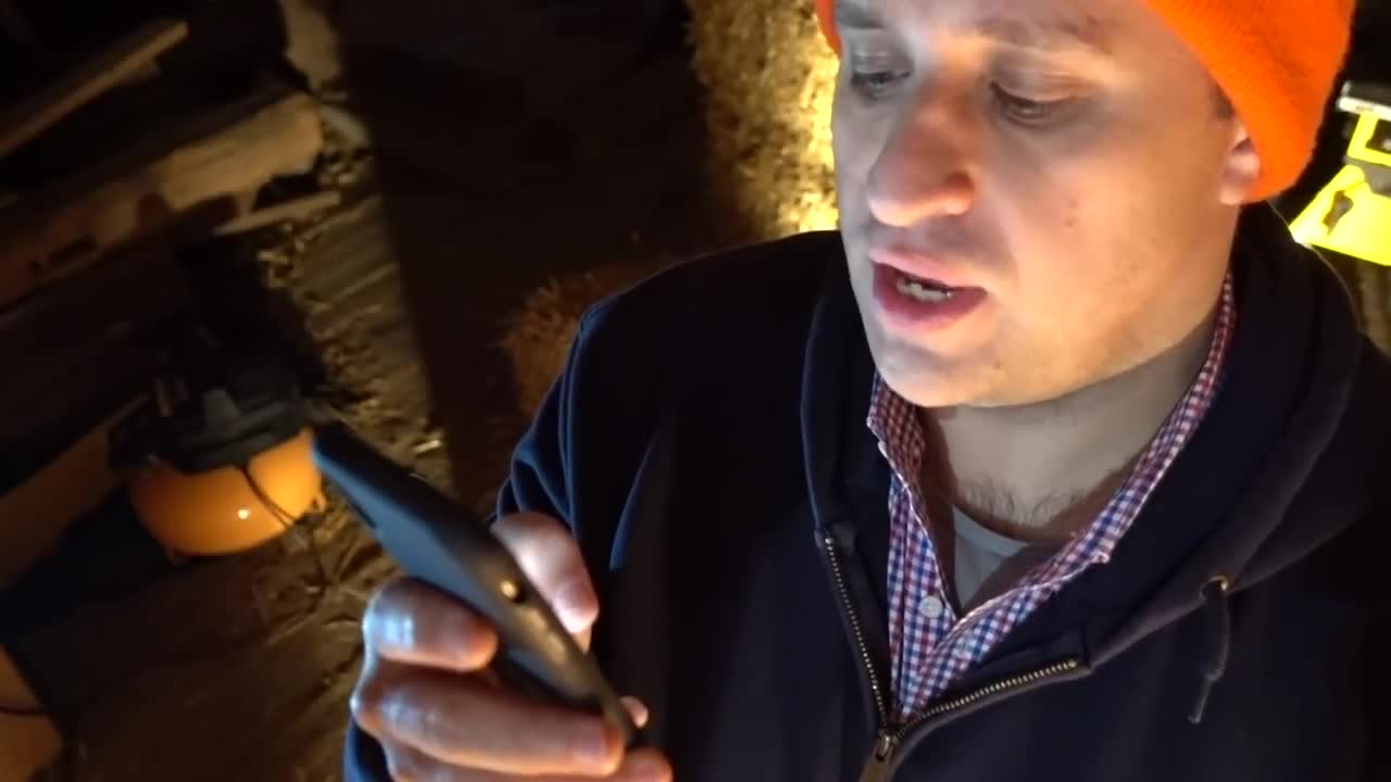 Shaye Elliott on Money & Homesteading