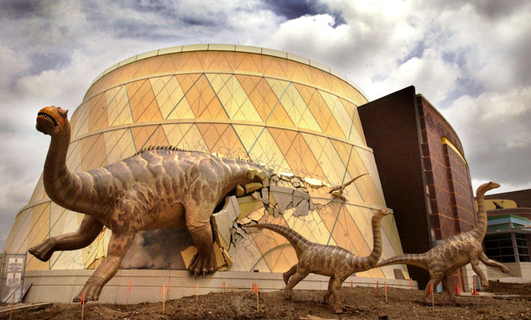 Halloween, Taylor Swift and WWE: All the times the Children's Museum ...